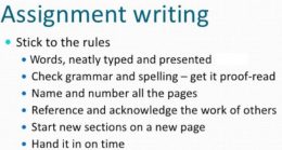 How many Paragraphs in an Essay: Argumentative or Informative